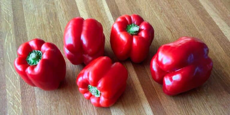 Roasted Red Pepper and Walnut Dip - The Salted Potato from Renée Robinson