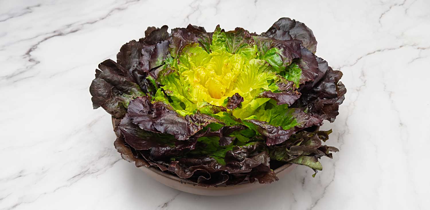Leaf Lettuce with Garlic Vinaigrette and Cheese Breadcrumbs - The ...